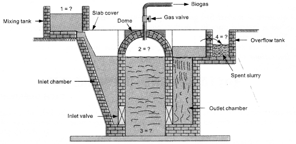 HOTS Questions For Class 10 Science Chapter 14 Sources Of Energy 