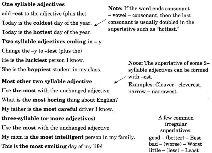 Online Education Exercise On Adjectives For Class 7 CBSE With Answers Online Education Exercise On Adjectives For Class 7 CBSE With Answers