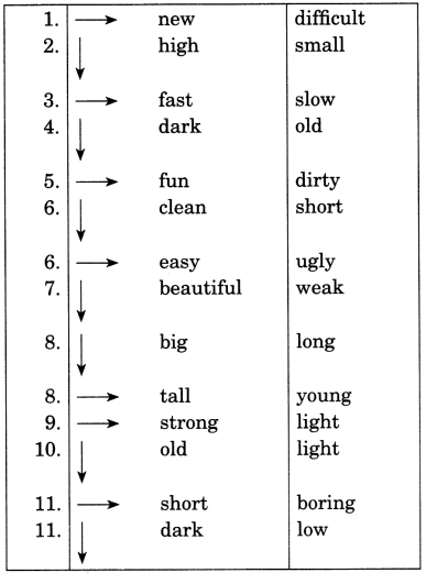 Exercise On Adjectives For Class 6 CBSE With Answers NCERT MCQ