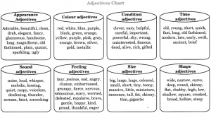 Exercise On Adjectives for Class 6 CBSE With Answers – NCERT MCQ