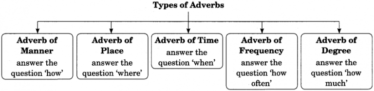 Online Education Adverb Exercises for Class 7 CBSE With Answers – NCERT MCQ