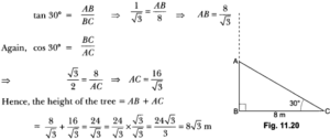 Some Applications of Trigonometry Class 10 Extra Questions Maths ...