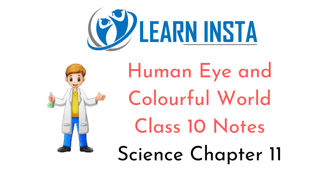Human Eye And Colourful World Class 10 Notes Science Chapter 11 NCERT MCQ