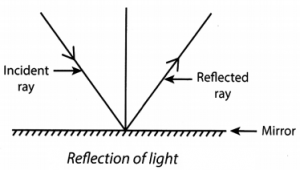 Light Shadows and Reflection Class 6 Notes Science Chapter 11 – NCERT MCQ