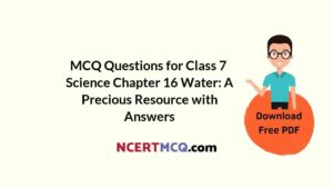 MCQ Questions for Class 7 Science Chapter 16 Water: A Precious Resource ...