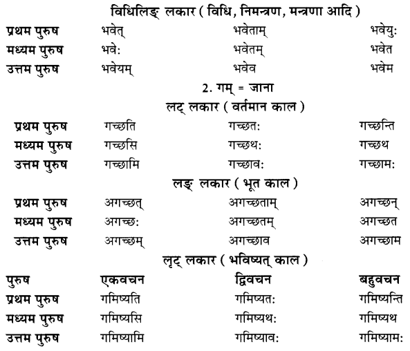 Class 7 Sanskrit Grammar Book Solutions धातुरूपाणि – NCERT MCQ