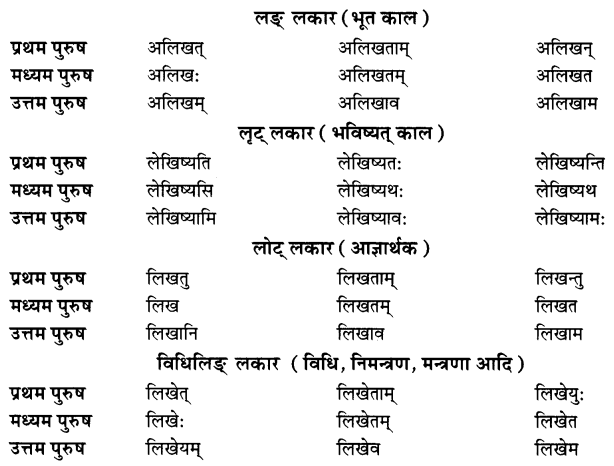 Class 7 Sanskrit Grammar Book Solutions धातुरूपाणि – NCERT MCQ