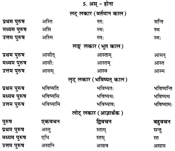 Class 7 Sanskrit Grammar Book Solutions धातुरूपाणि – NCERT MCQ