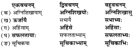 NCERT Solutions for Class 7 Sanskrit Chapter 8 त्रिवर्णः ध्वजः – NCERT MCQ