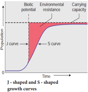 Growth Models / Curves and Its Types – NCERT MCQ