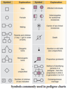 Pedigree Analysis – Genetic Disorders – NCERT MCQ