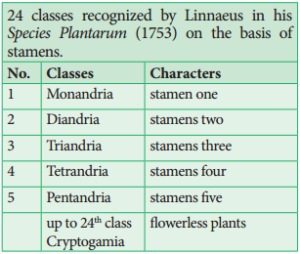 Types of Classification and its Significance – NCERT MCQ