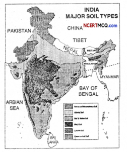 Class 10 Geography Chapter 1 Extra Questions and Answers Resource and ...