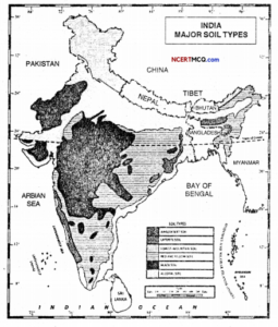 Class 10 Geography Chapter 1 Extra Questions and Answers Resource and ...
