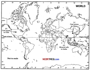 Class 8 Geography Chapter 3 Extra Questions and Answers Mineral and ...