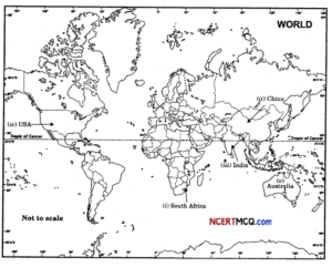 Class 8 Geography Chapter 3 Extra Questions and Answers Mineral and ...