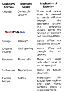 Excretion Definitions, Equations and Examples – NCERT MCQ