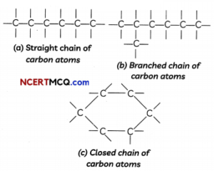 Hydrocarbons Definitions, Equations and Examples – NCERT MCQ