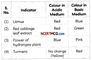 Indicators Definitions, Equations and Examples – NCERT MCQ