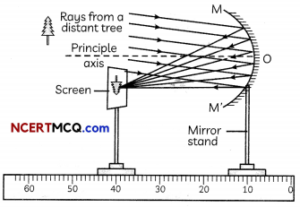 Light Reflection and Refraction Class 10 MCQ Online Test With Answers ...