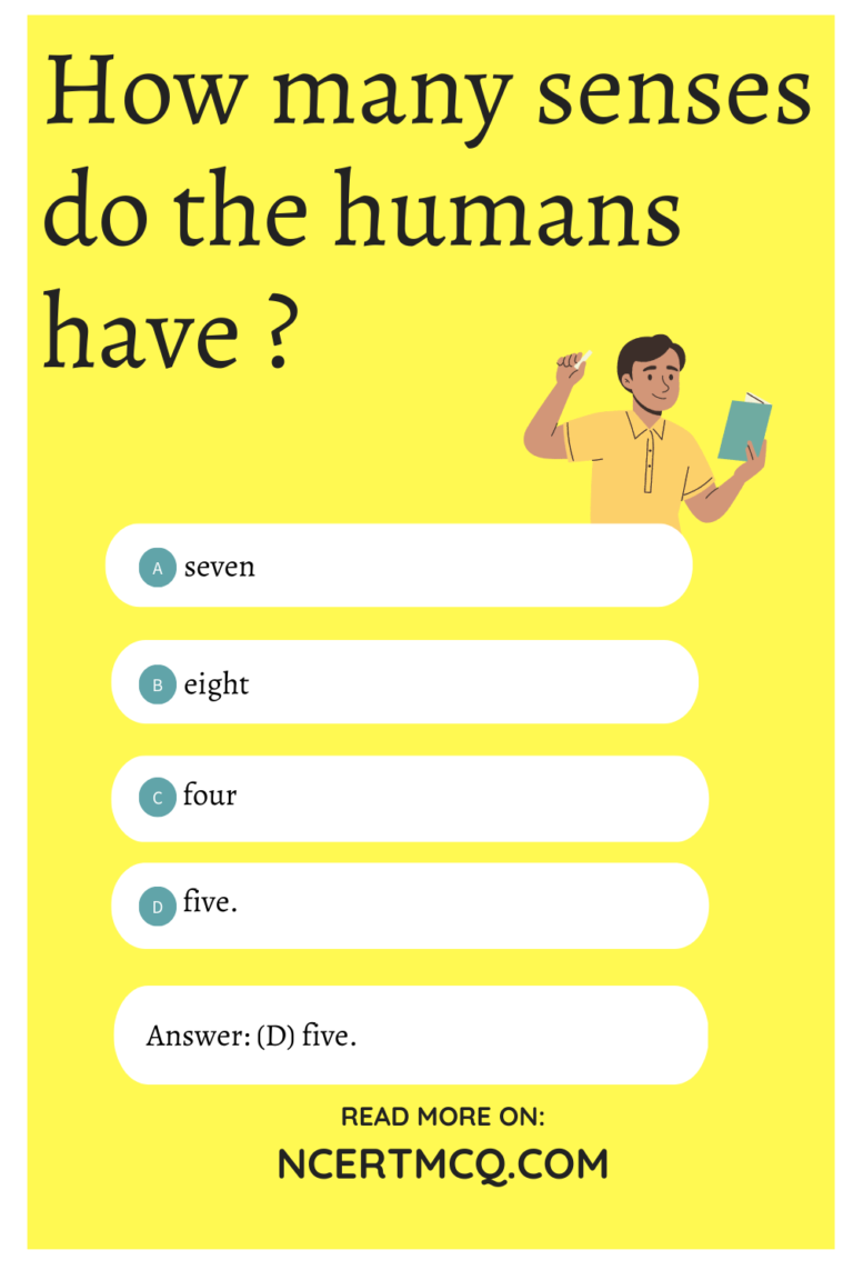 The Tsunami Class 8 MCQ Questions with Answers English Chapter 2 ...