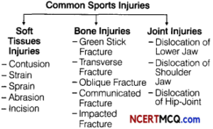 CBSE Sample Papers for Class 12 Physical Education Term 2 Set 1 with ...